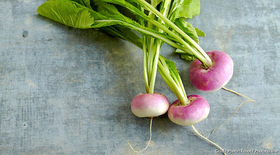 Le navet : tout savoir sur ce légume (conseils d'achat, recettes) | Régal