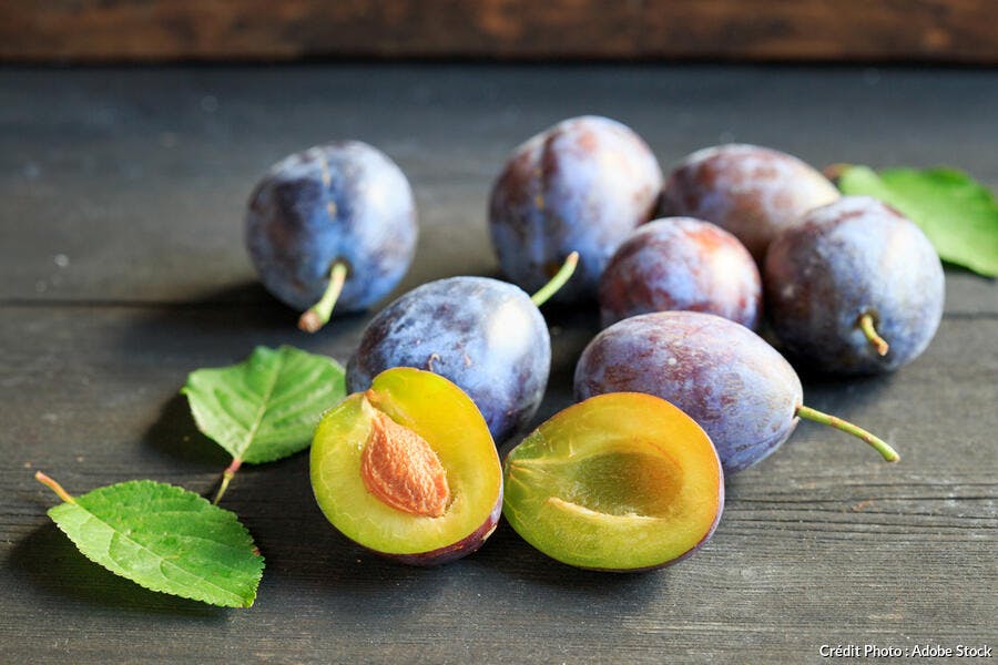 La quetsche d'Alsace : conseils d'achat, astuces et recettes | Régal